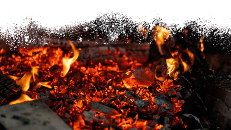 Waterfront Restaurant — Downtown Halifax | Salt + Ash Beach House
